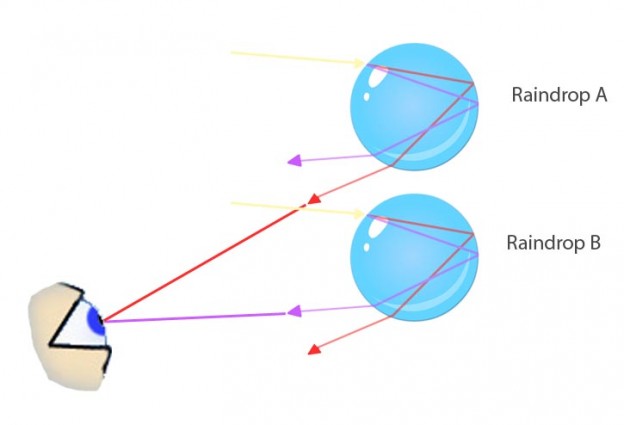 How Rainbows Work - (Information + Facts) - Science4Fun