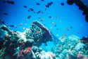 Earth - (Information + Facts) - Science4Fun