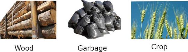 Biomass Energy - (Information + Facts) - Science4Fun