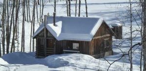 Seasons - (Information + Fun Facts) - Science4Fun