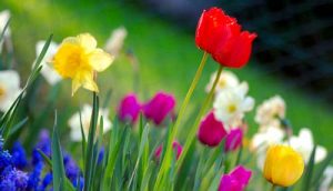 Seasons - (Information + Fun Facts) - Science4Fun
