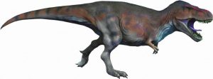 Tyrannosaurus Rex | Habitat + Lifestyle + Diet + Discovery
