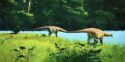 Nigersaurus | Life, Habitat, Diet, Discovery, and Facts