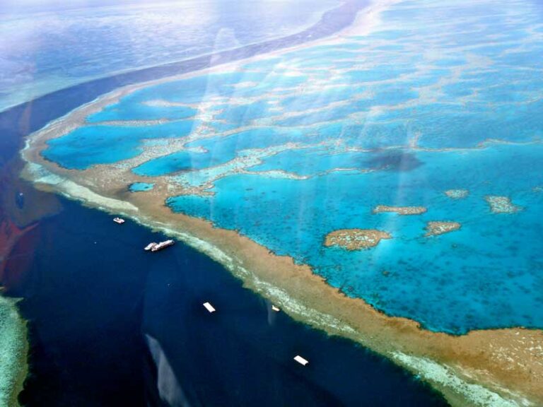 Pacific Ocean: Facts and Characteristics - Science4Fun